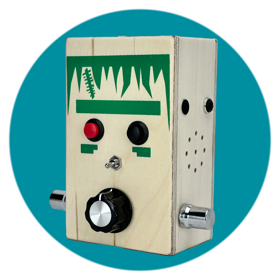 Voice Recorder Sound Toy with Delay Effect And Loop Switch | Frankie ...